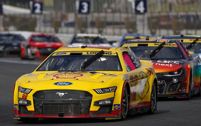 FAQs | Frequently Asked Questions | EchoPark®